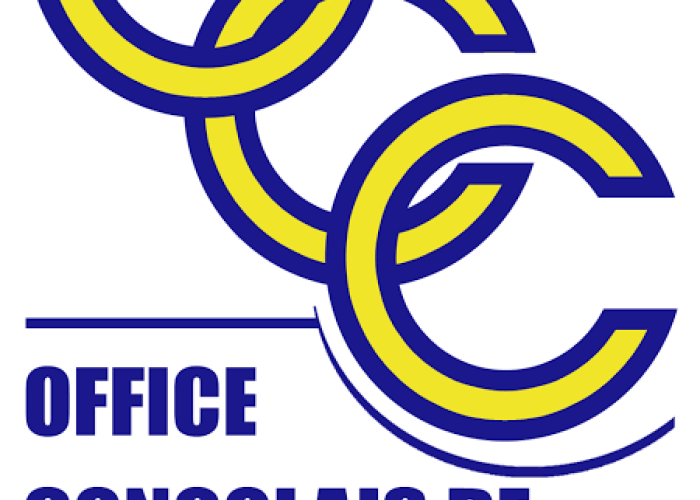 RDC : l’Office Congolais de Contrôle mis à nu par l’Inspection Générale ...