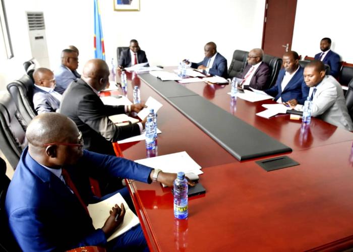 RDC : 20 entreprises identifiées au Nord et Sud-Kivu pour un éventuel ...