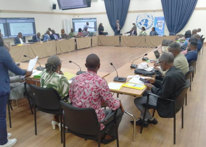 RDC : la CNDH répertorie plus de 2000 ONGs dédiées aux droits de l ...
