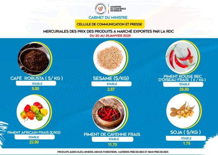 RDC : diversification économique et évolution des prix des produits ...